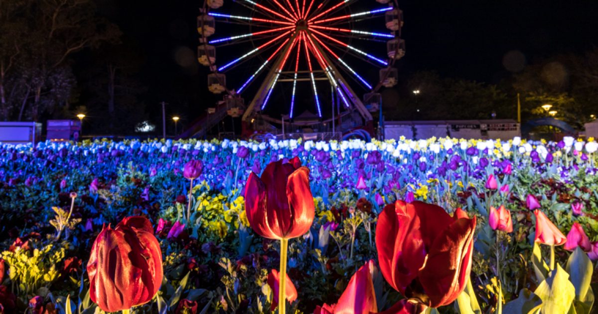 Planning a getaway? Here's what's on in Canberra this September ...