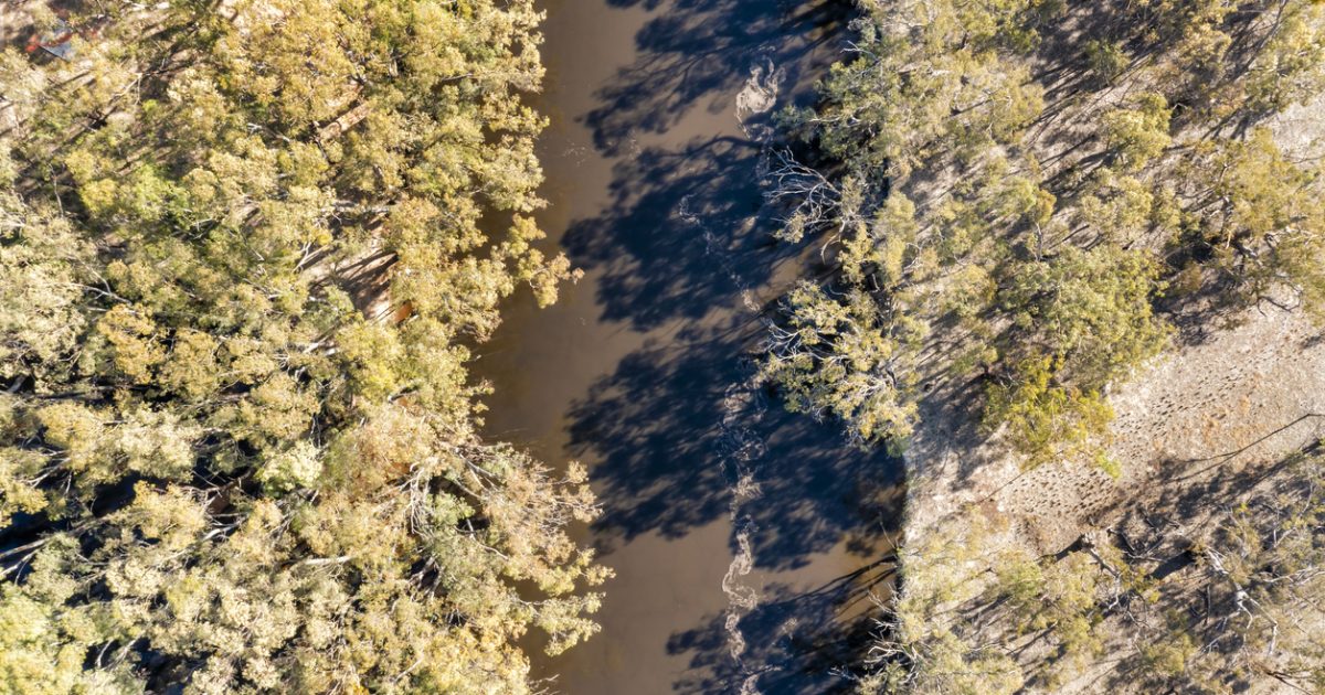 Nine things to do in the Riverina this week (19 - 25 August) | Region ...