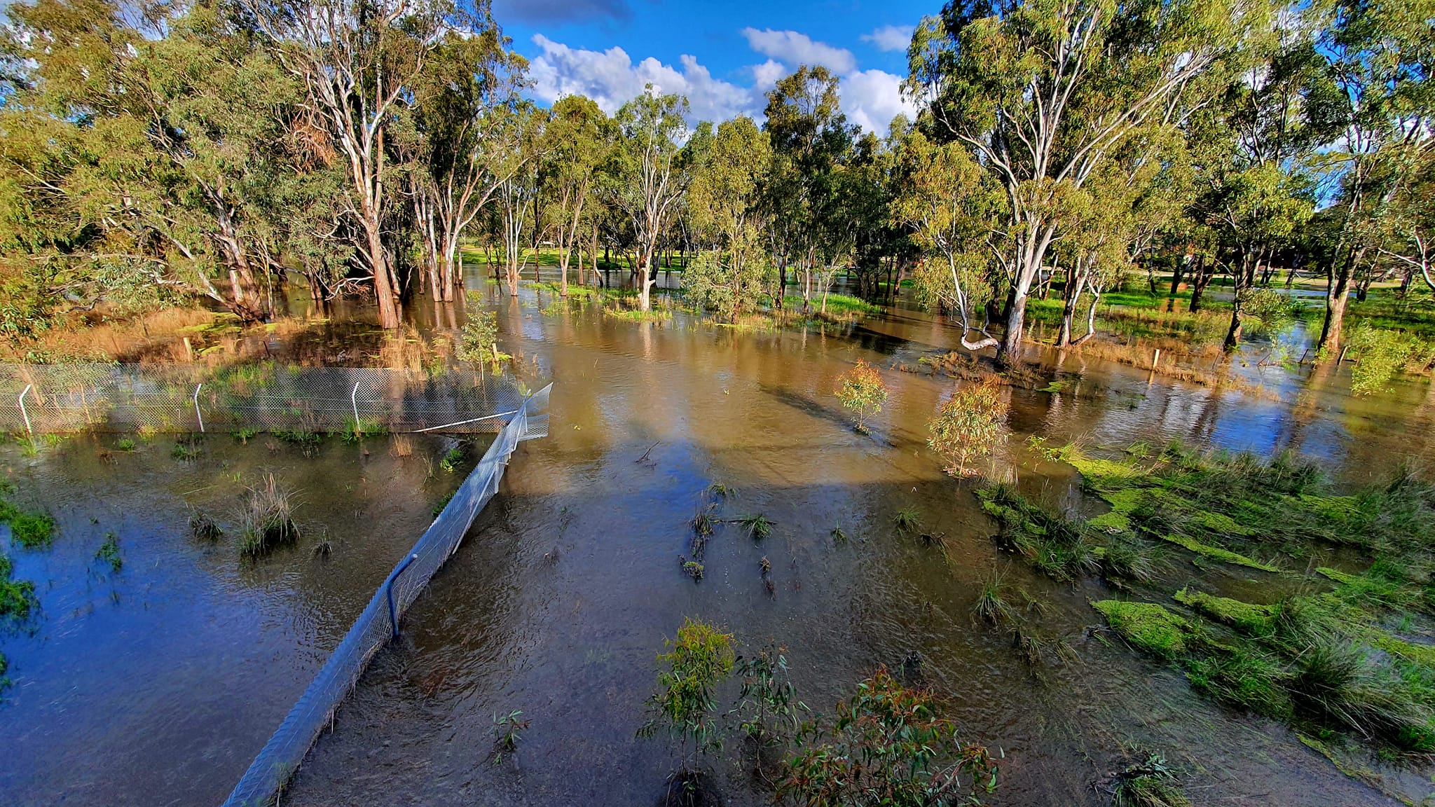 Narrandera still on flood alert as the Murrumbidgee remains ...