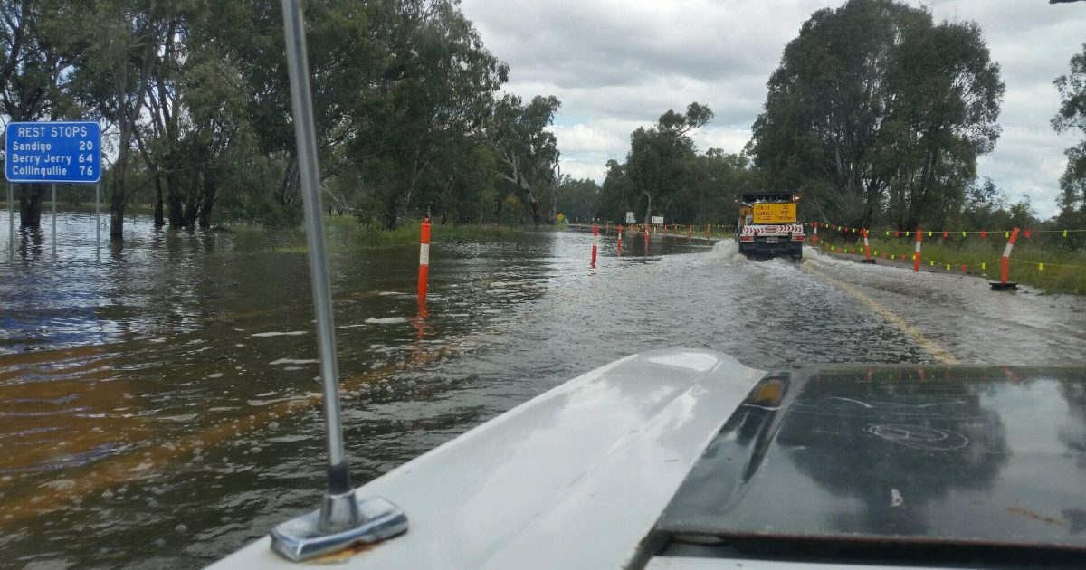 Narrandera braces for major flooding with a possible peak of 8.2m ...