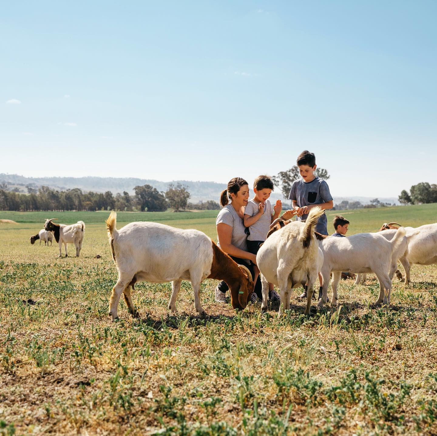 'Farming' tourists may be the key to future-proofing the regions as ...