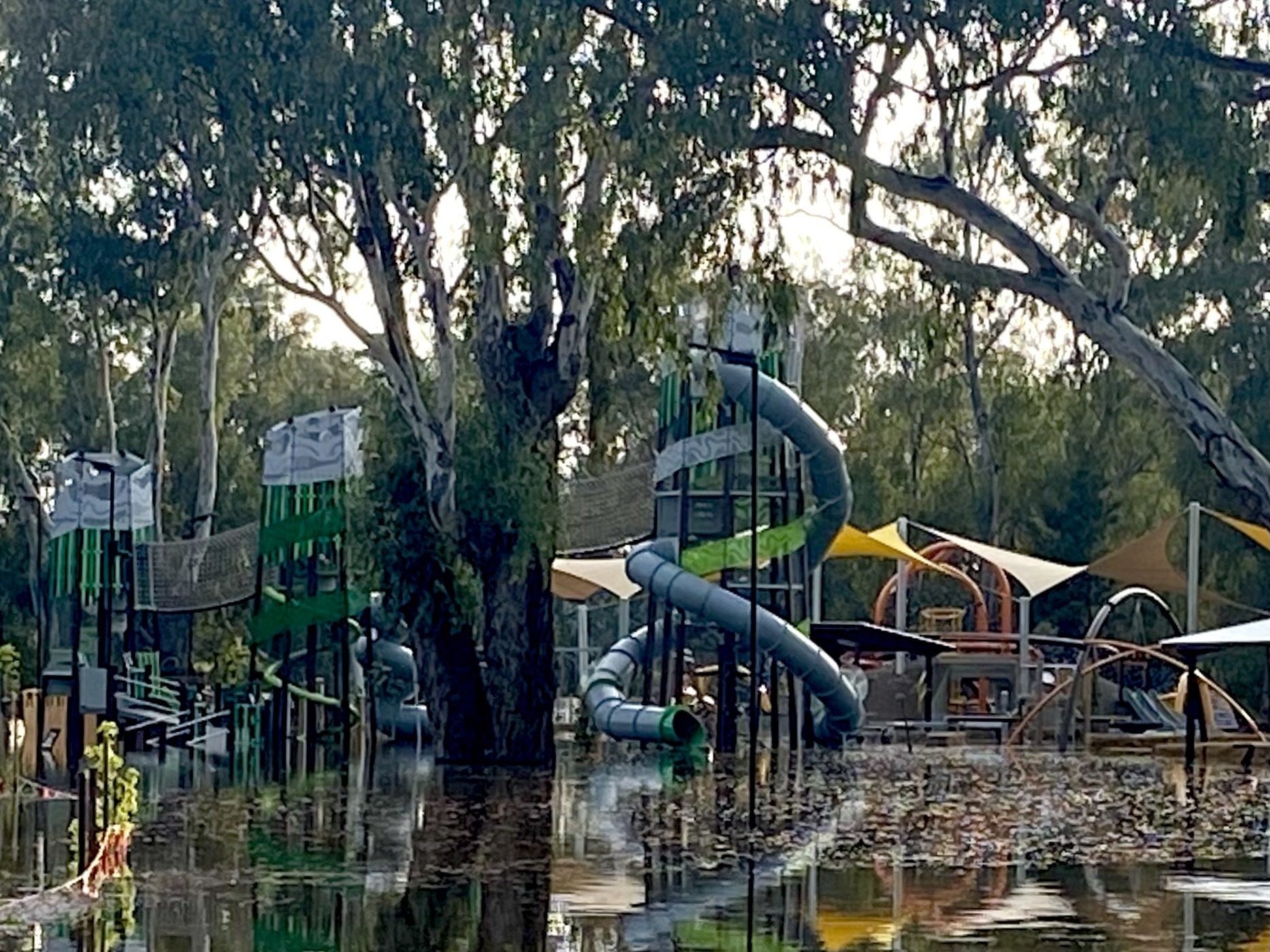 'It’s water – you saw it last month': Wagga SES tells rubberneckers to ...