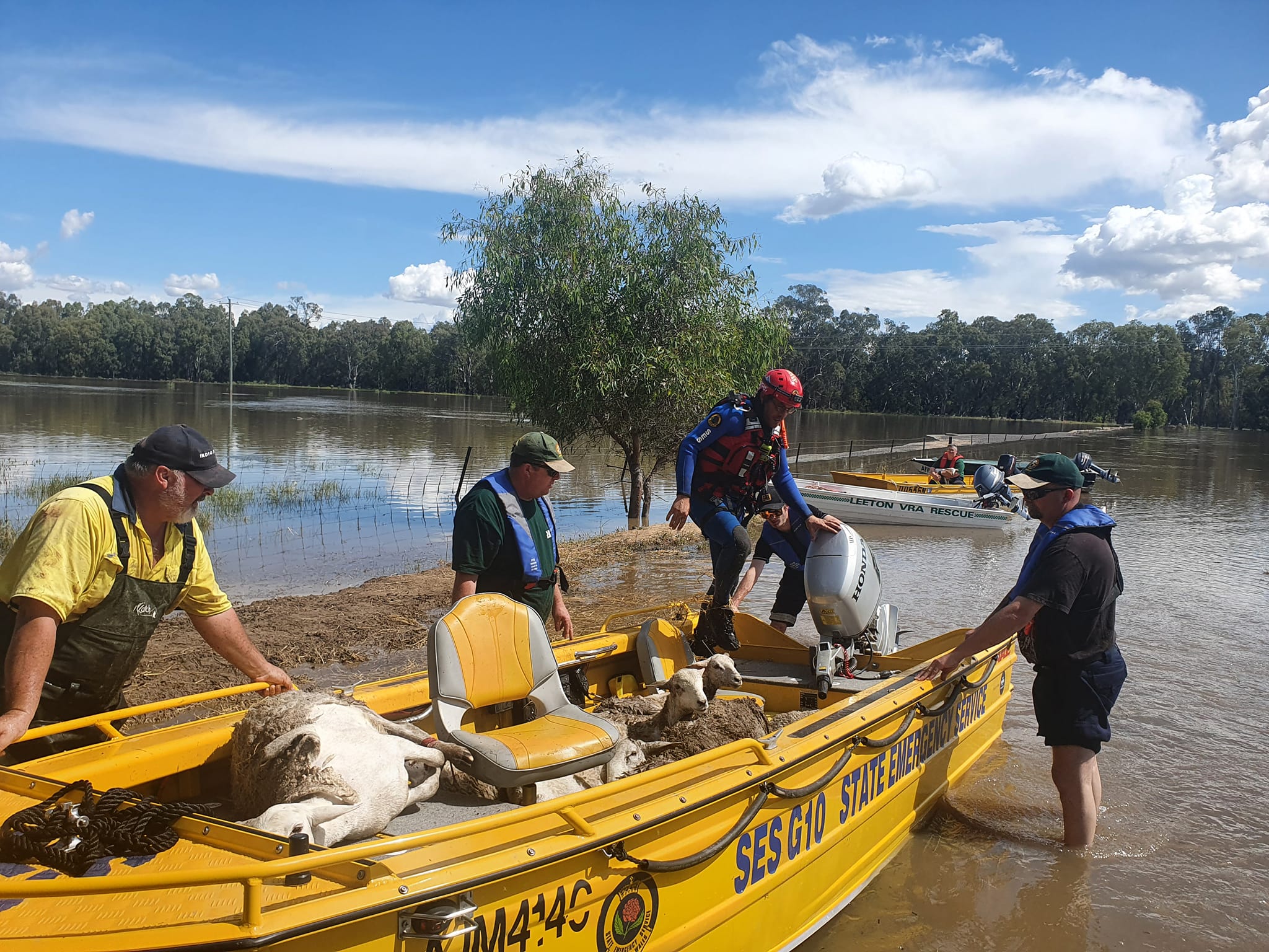 Sheep rescues, stranded drivers and busted roads as the flooding ...