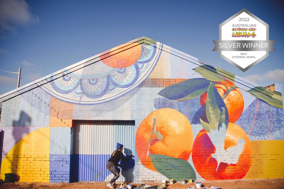 Griffith's Banna Lane wins gold award for best street art laneway in ...