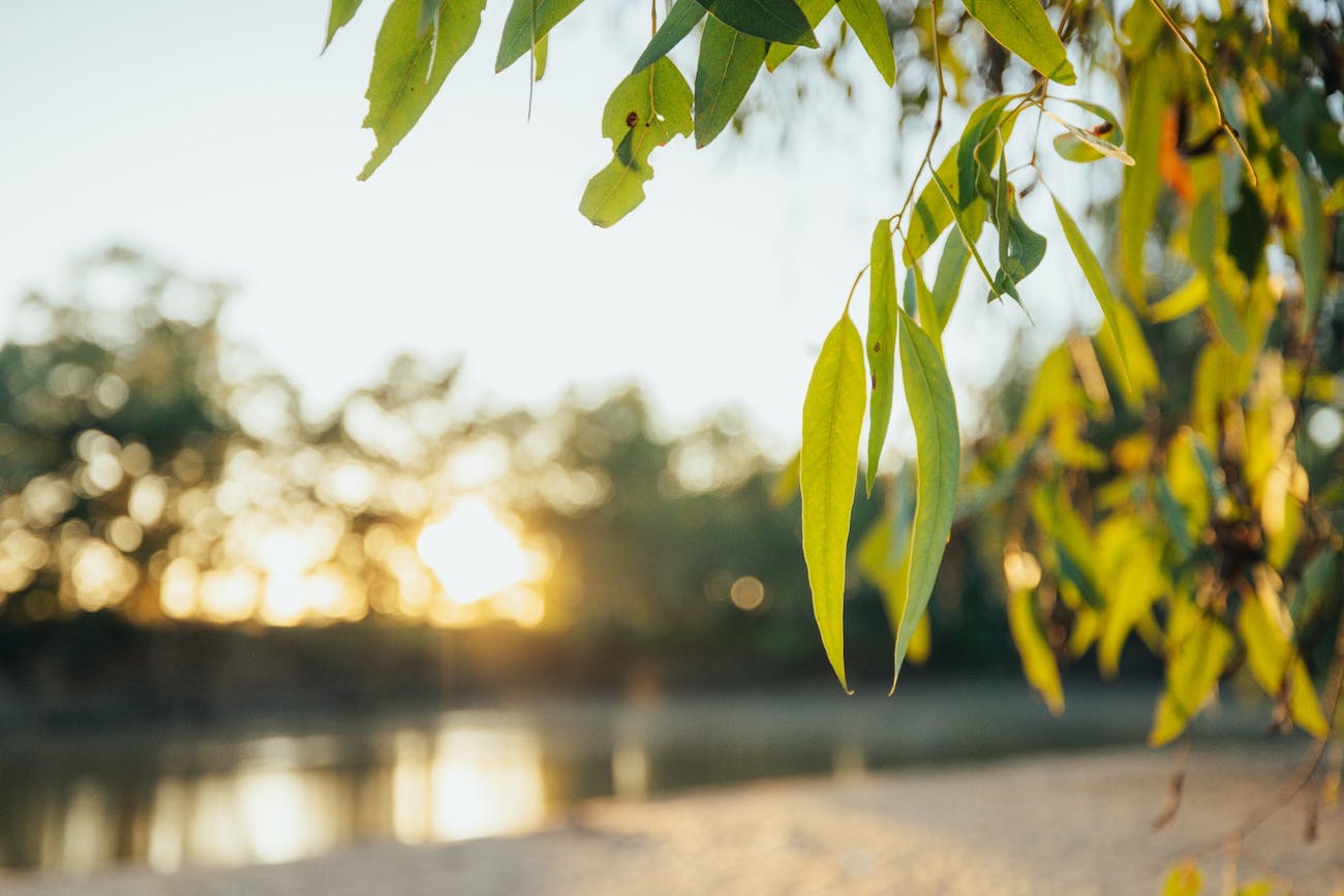 Things to do in the Riverina this week (30 June to 6 July) | Region ...