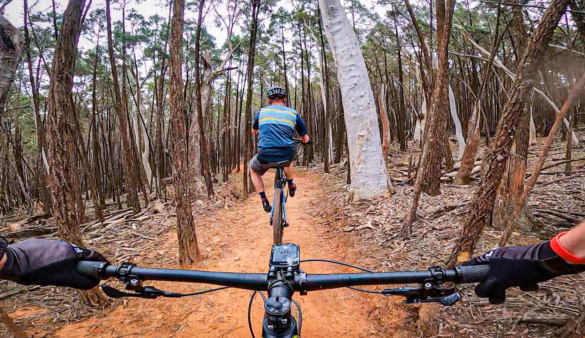 Six awesome bushwalks on your doorstep in the Riverina | Region Riverina