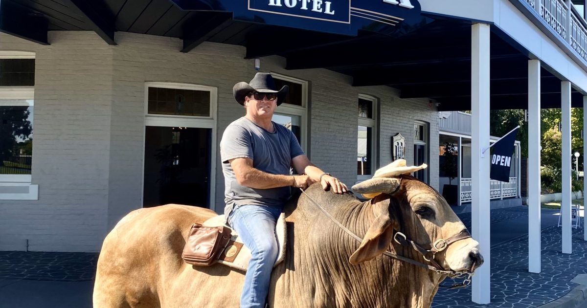 Get ready for some cracking fun in local stockman’s outback show ...