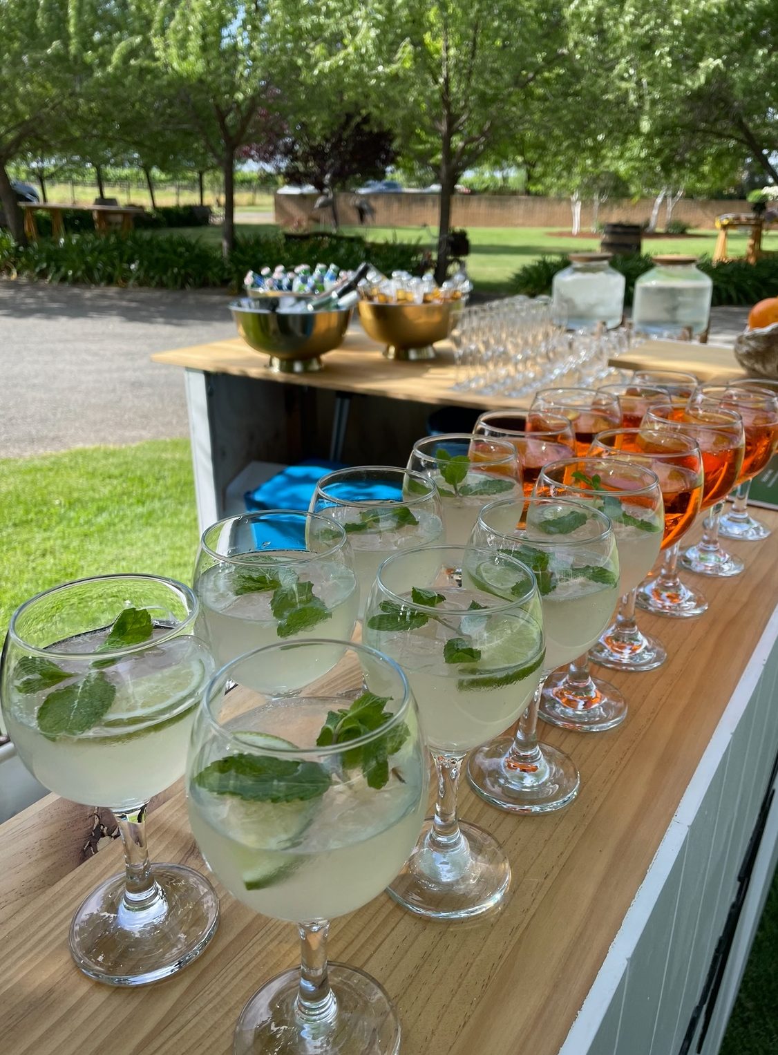 Griffith student mixes business with pleasure through licensed cocktail ...