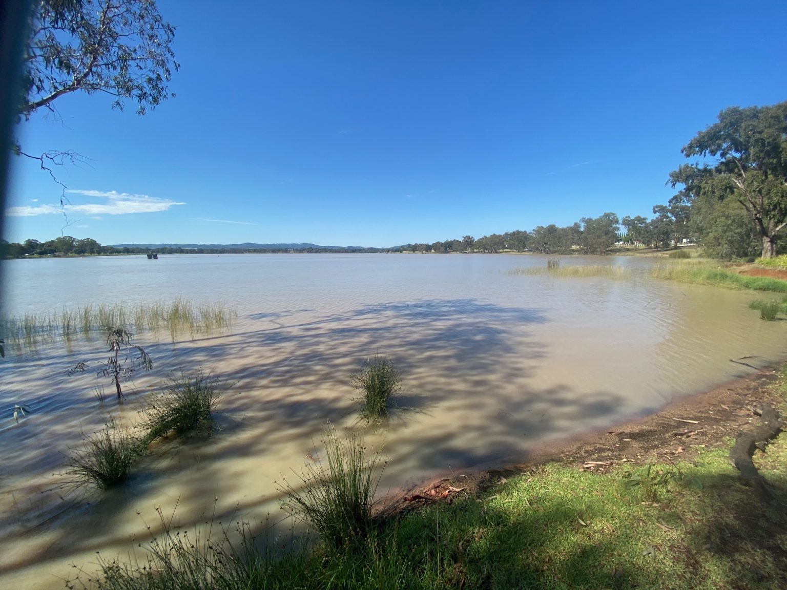 Experimental trials to rid Lake Albert of blue-green algae have begun ...