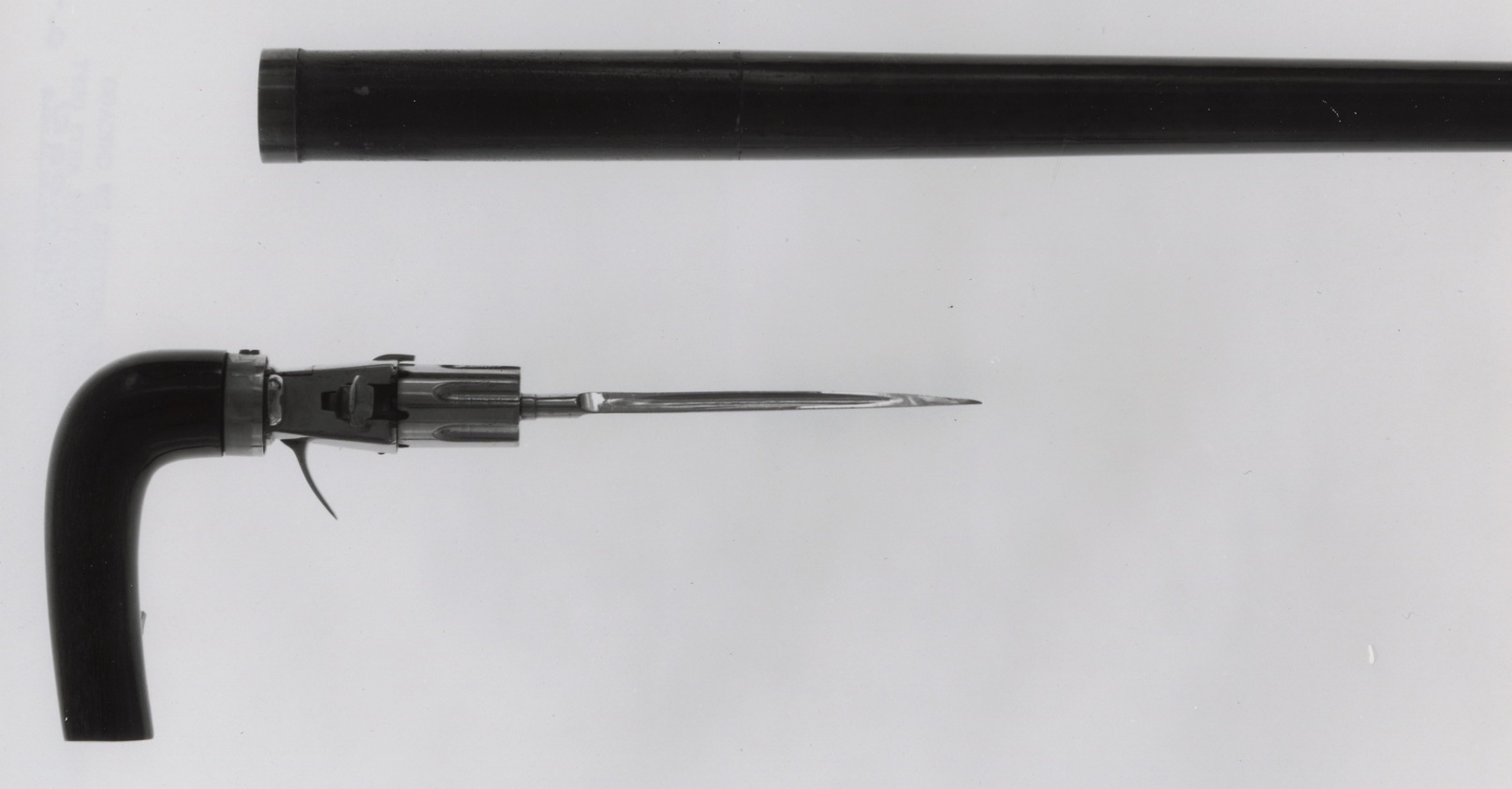 Riverina Rewind: The 'enemy alien' and Wagga's deadliest walking stick ...