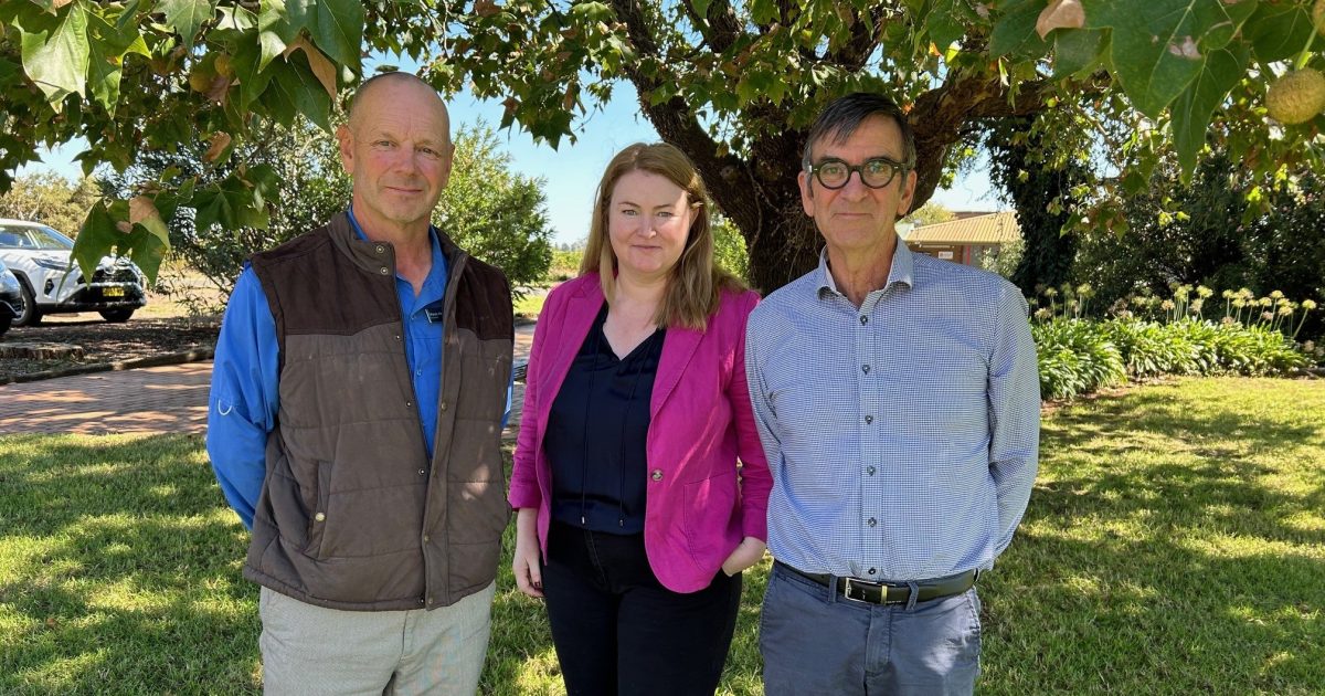 'Competition is healthy': NSW Government to end Riverina giant SunRice ...