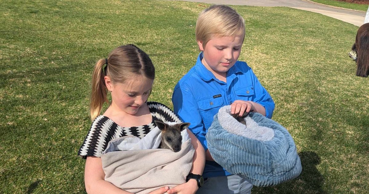 Are you ready to have some fun in the sun? Spring Jam returns for 2024 ...