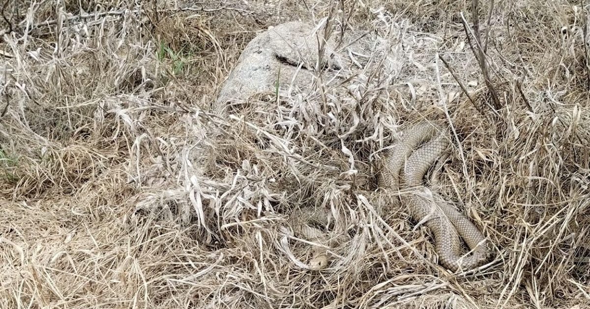 Can you see it? A reminder to keep your eyes peeled as the weather ...