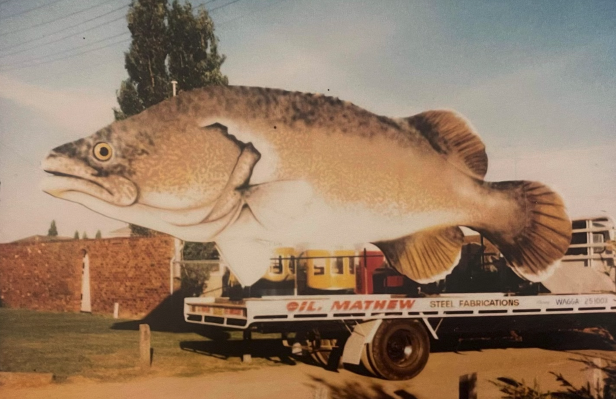 Big Murray Cod's bones are back and the iconic cod will soon welcome ...