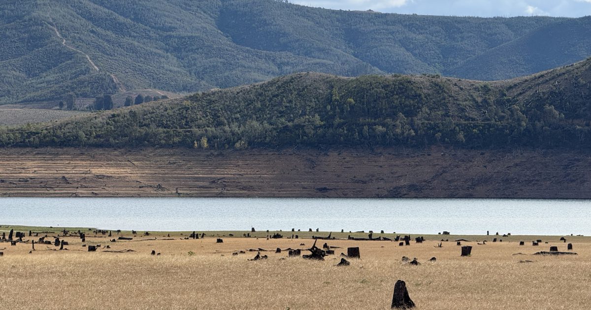 Where's the dam water gone? Riverina levels diving compared to the rest ...
