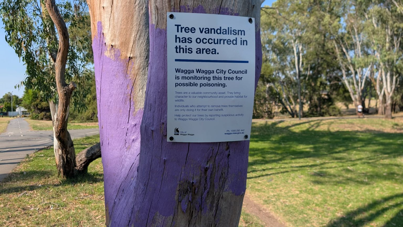 'Act of vandalism': Lake Albert trees likely to have been poisoned ...